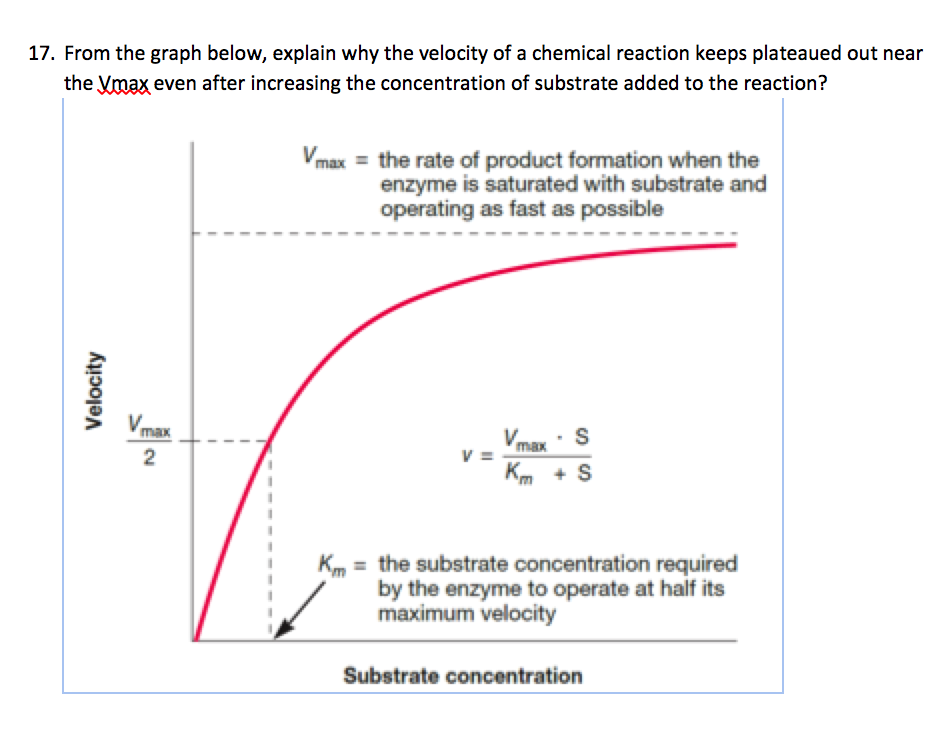 Solved 17. From the graph below, explain why the velocity of | Chegg.com