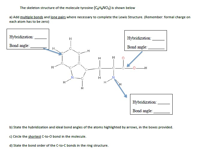 Solved The skeleton structure of the molecule tyrosine | Chegg.com