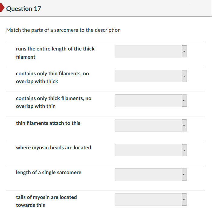 Solved Possible options: A zone, I band, Z Zone, Z-lines, Z | Chegg.com