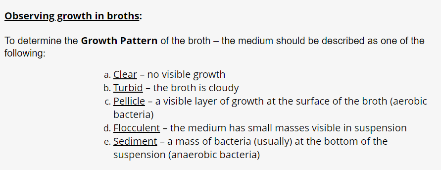 Solved Background for Microbial Growth on Slants and Broths | Chegg.com