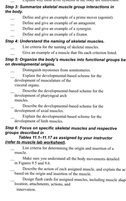 Solved Step 3: Summarize skeletal muscle group interactions | Chegg.com