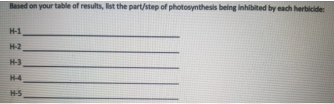 Solved Herbicide G3P Production Chlorophyll Absorption | Chegg.com