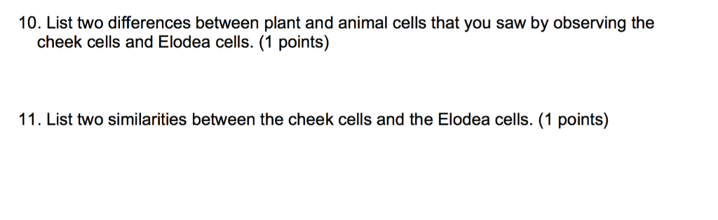 Solved 10. List two differences between plant and animal | Chegg.com
