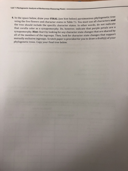 Solved PROBLEM SET 2 Name: Instructor: Date: Section 1. | Chegg.com
