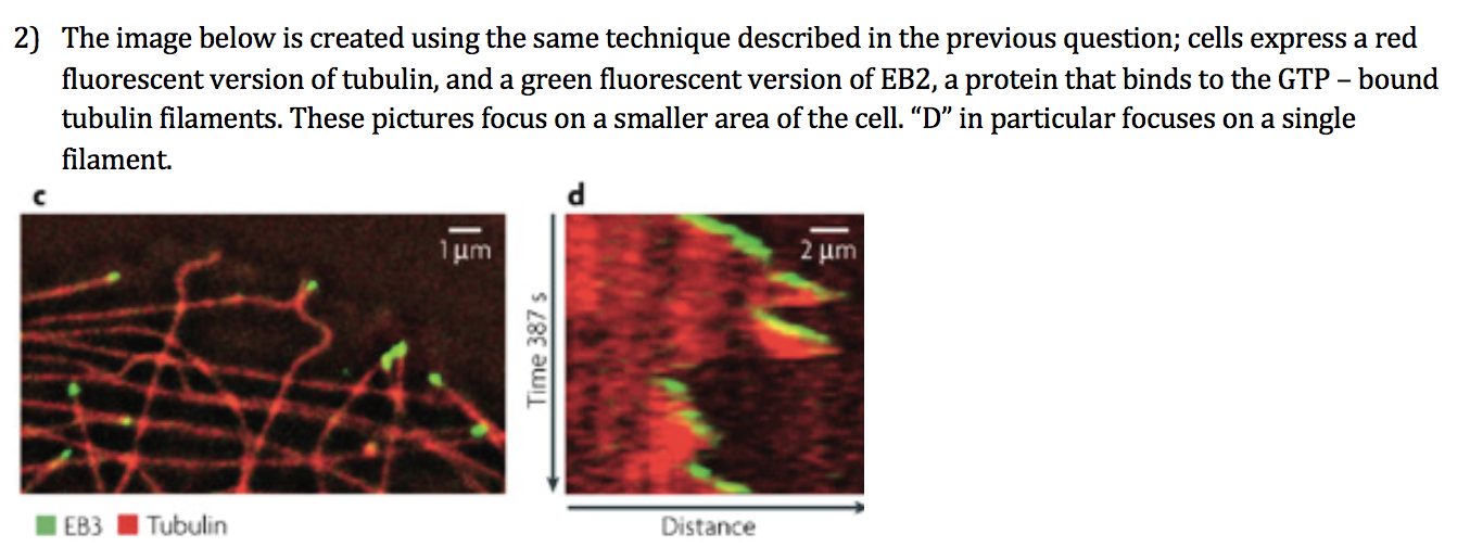 Solved What is Dynamic Instability and How are these images | Chegg.com