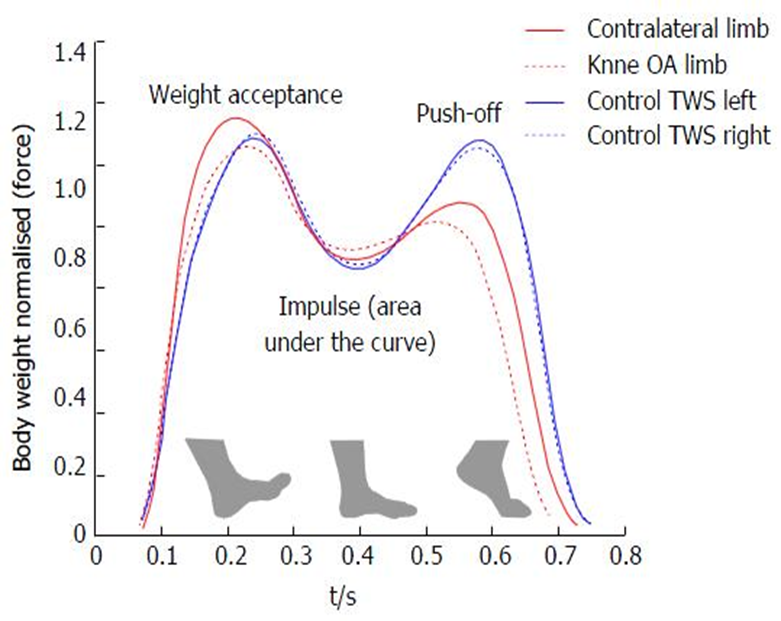 1.4 Weight acceptance Contralateral limb Knne OA limb | Chegg.com
