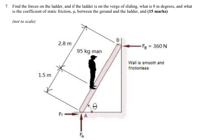 Solved Find the forces on the ladder, and if the ladder is | Chegg.com