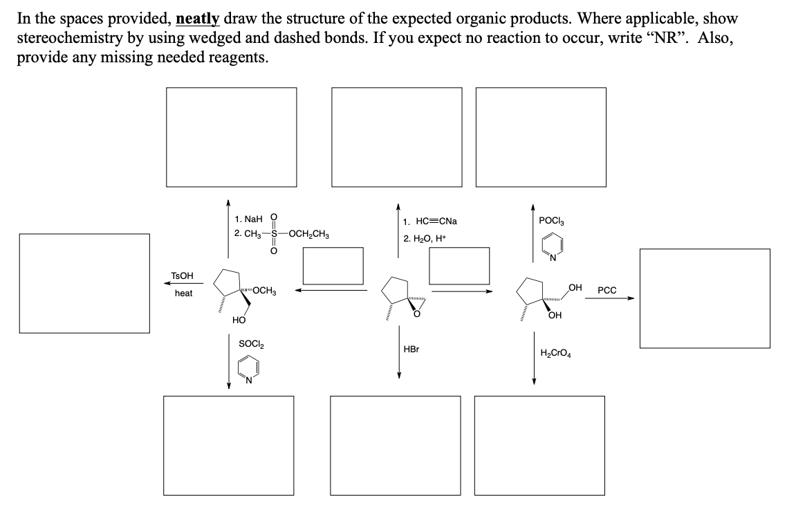 Solved In the spaces provided, neatly draw the structure of | Chegg.com
