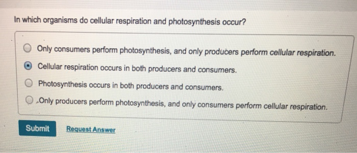 What Organisms Perform Cellular Respiration
