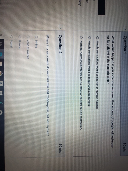 Solved D Question 1 10 pts (or its activity) in the synaptic | Chegg.com Solved D Question 1 10 pts (or its activity) in the synaptic | Chegg.com