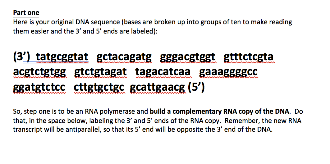 Solved Part one Here is your original DNA sequence (bases | Chegg.com