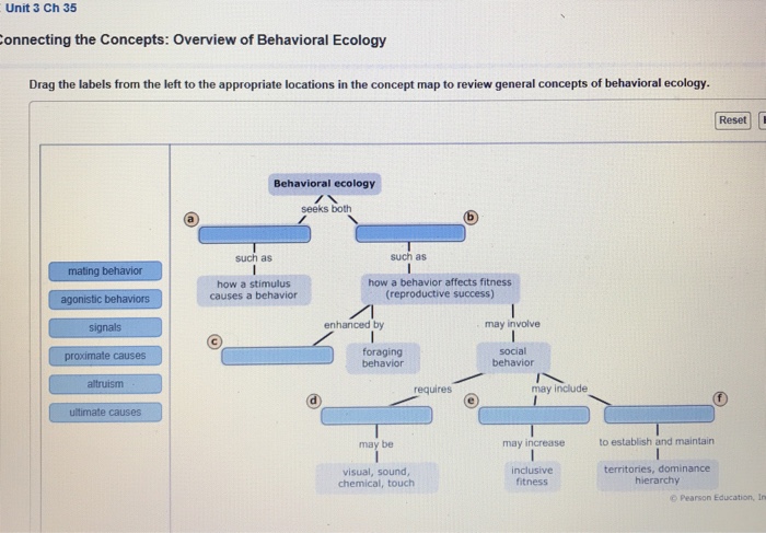 Solved Example Type of social behavior dominance hierarchy | Chegg.com