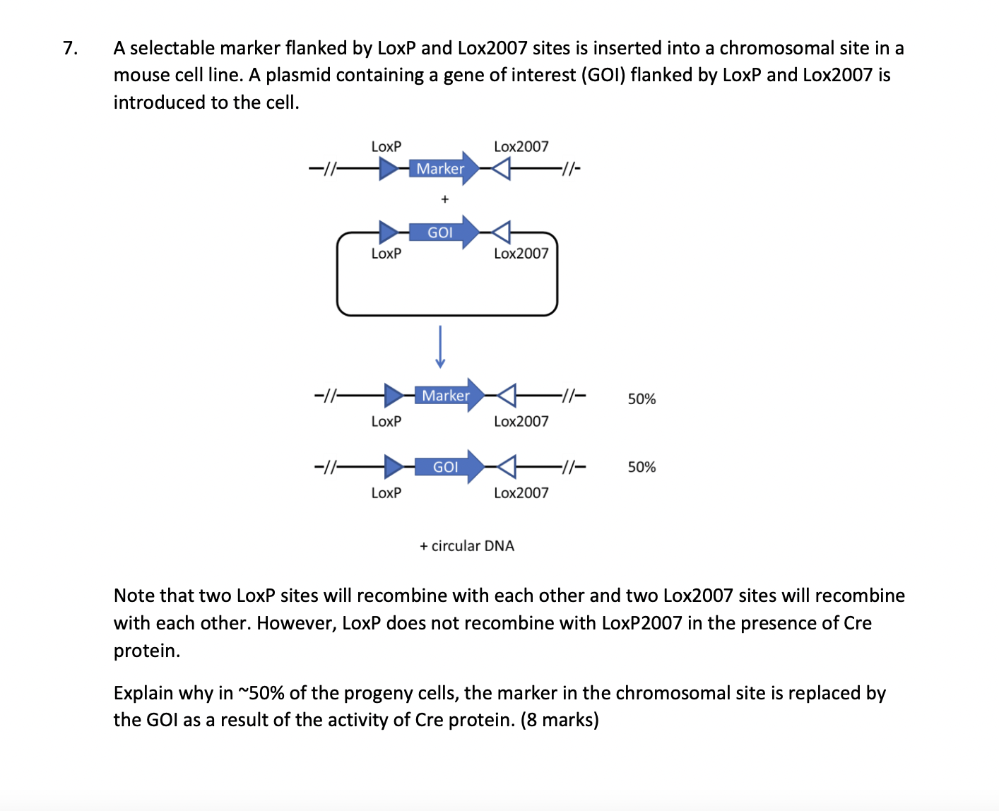 Solved A selectable marker flanked by LoxP and Lox2007 sites | Chegg.com