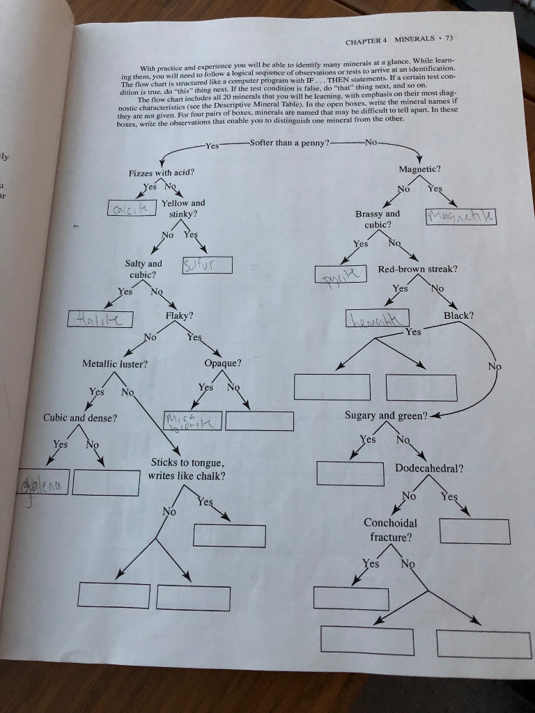 Solved need this filled out the mineral bank is sulfur, | Chegg.com