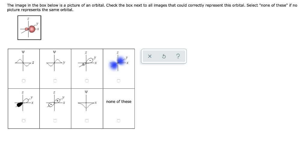 Solved The image in the box below is a picture of an | Chegg.com