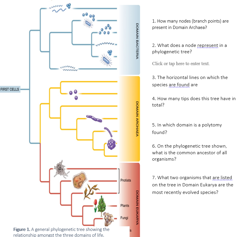 Solved 1. How many nodes (branch points) are present in | Chegg.com