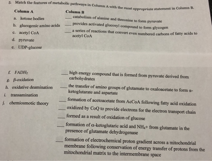 Solved of metabolie pathways in Column A with the most | Chegg.com