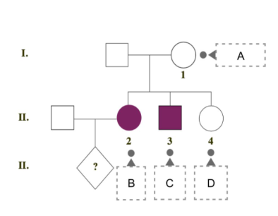 Solved You are studying an imprinted gene MR1. Having | Chegg.com