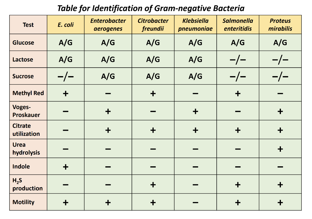 Solved Results Phenol Red Glucose broth Phenol Red Sucrose | Chegg.com