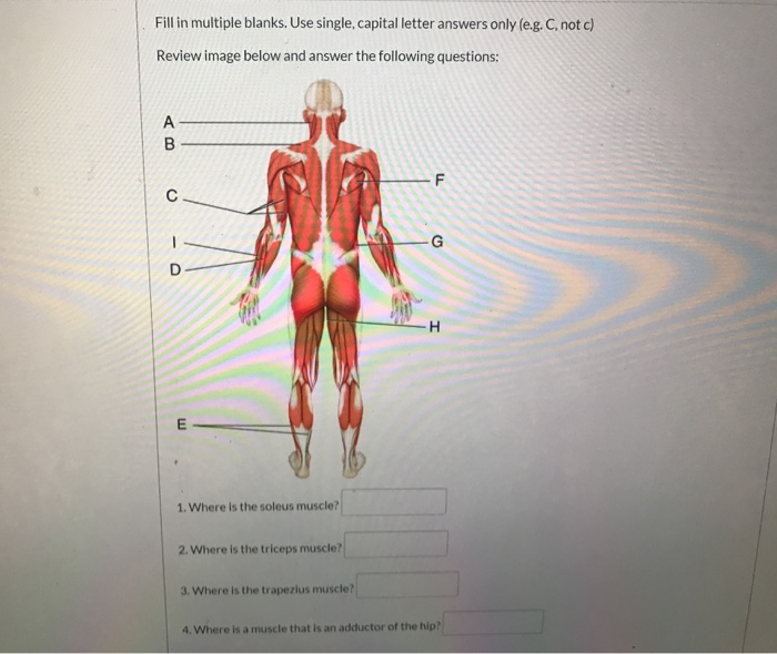 Solved Question 3 1 pts Multiple answers-Student must select | Chegg.com Solved Question 3 1 pts Multiple answers-Student must select | Chegg.com
