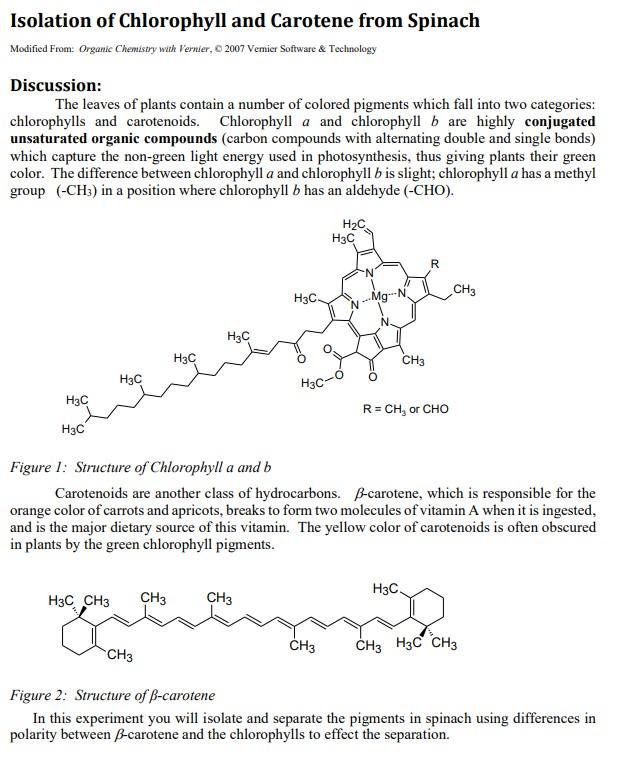 Solved Isolation of Chlorophyll and Carotene from Spinach | Chegg.com