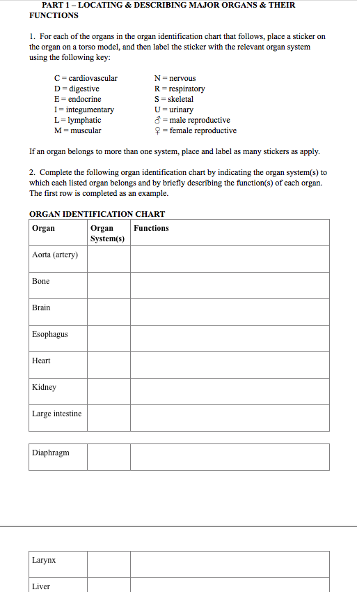 PART 1 - LOCATING & DESCRIBING MAJOR ORGANS & THEIR | Chegg.com