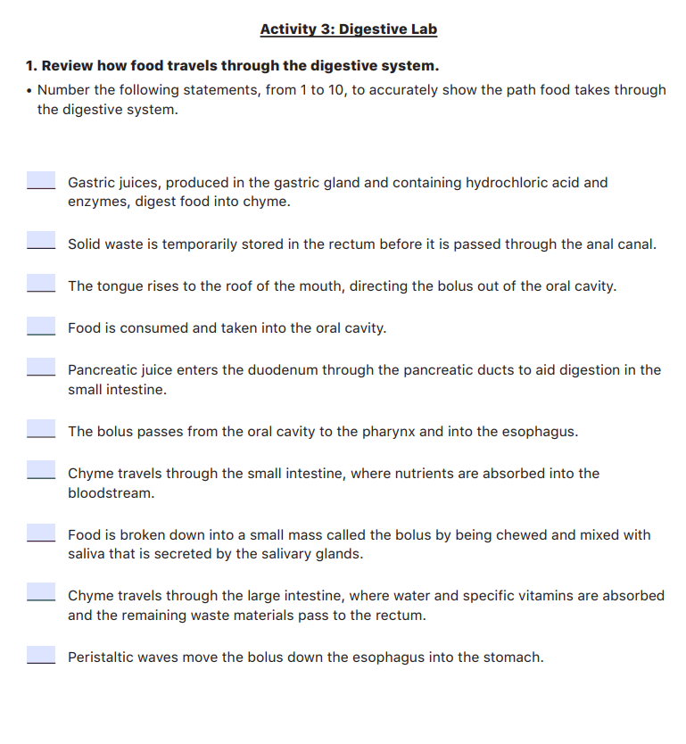 Solved Activity 3: Digestive Lab 1. Review how food travels | Chegg.com