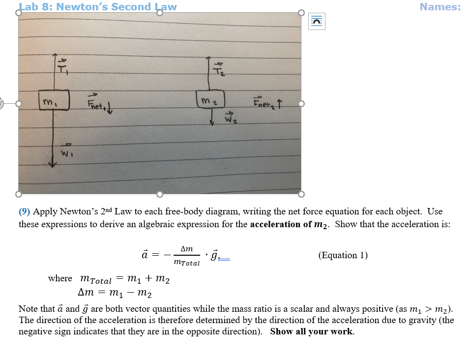 net force equations are: for first mass (larger) | Chegg.com