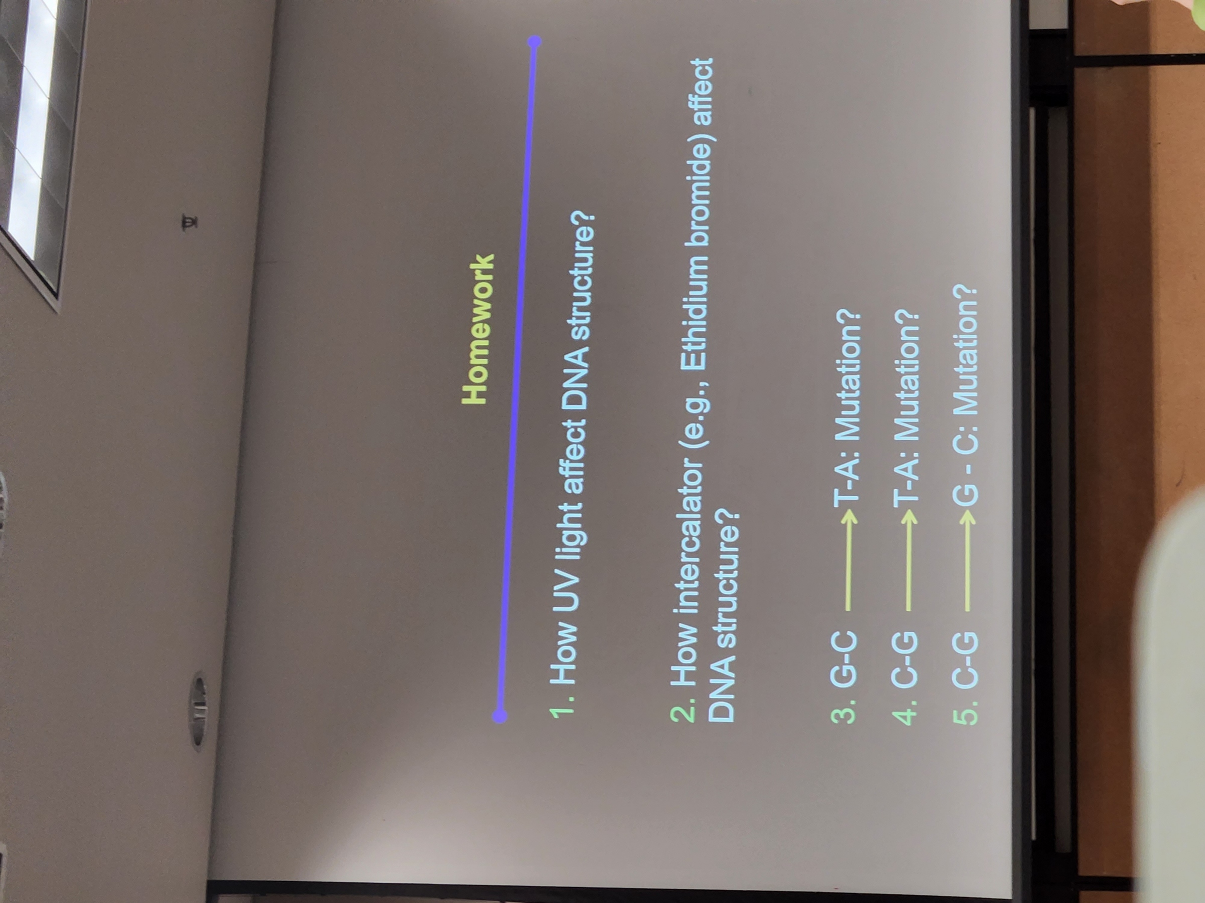 Solved How UV light affect DNA structure?How intercalator | Chegg.com