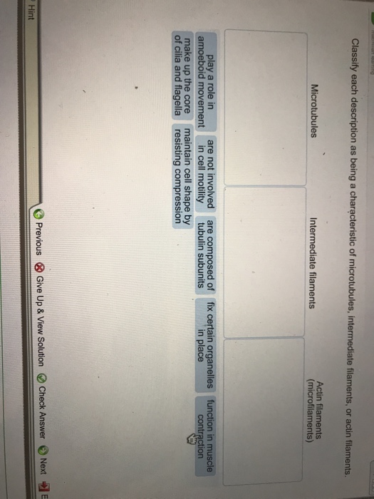 Solved Classify each description as being a characteristic | Chegg.com