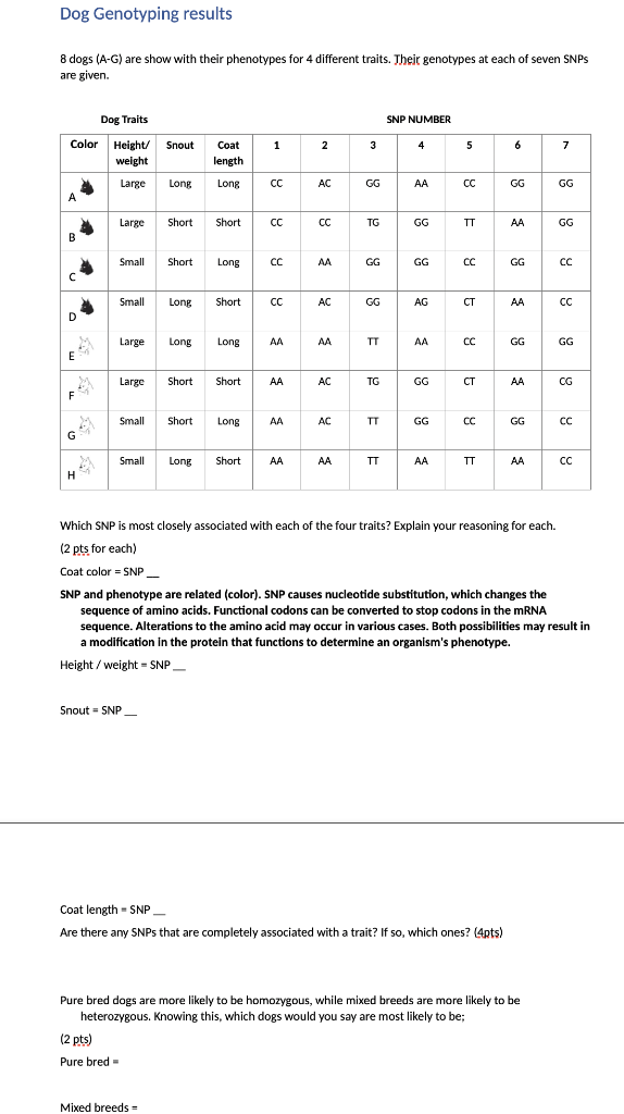 Dog Genotyping results 8 dogs (A-G) are show with | Chegg.com