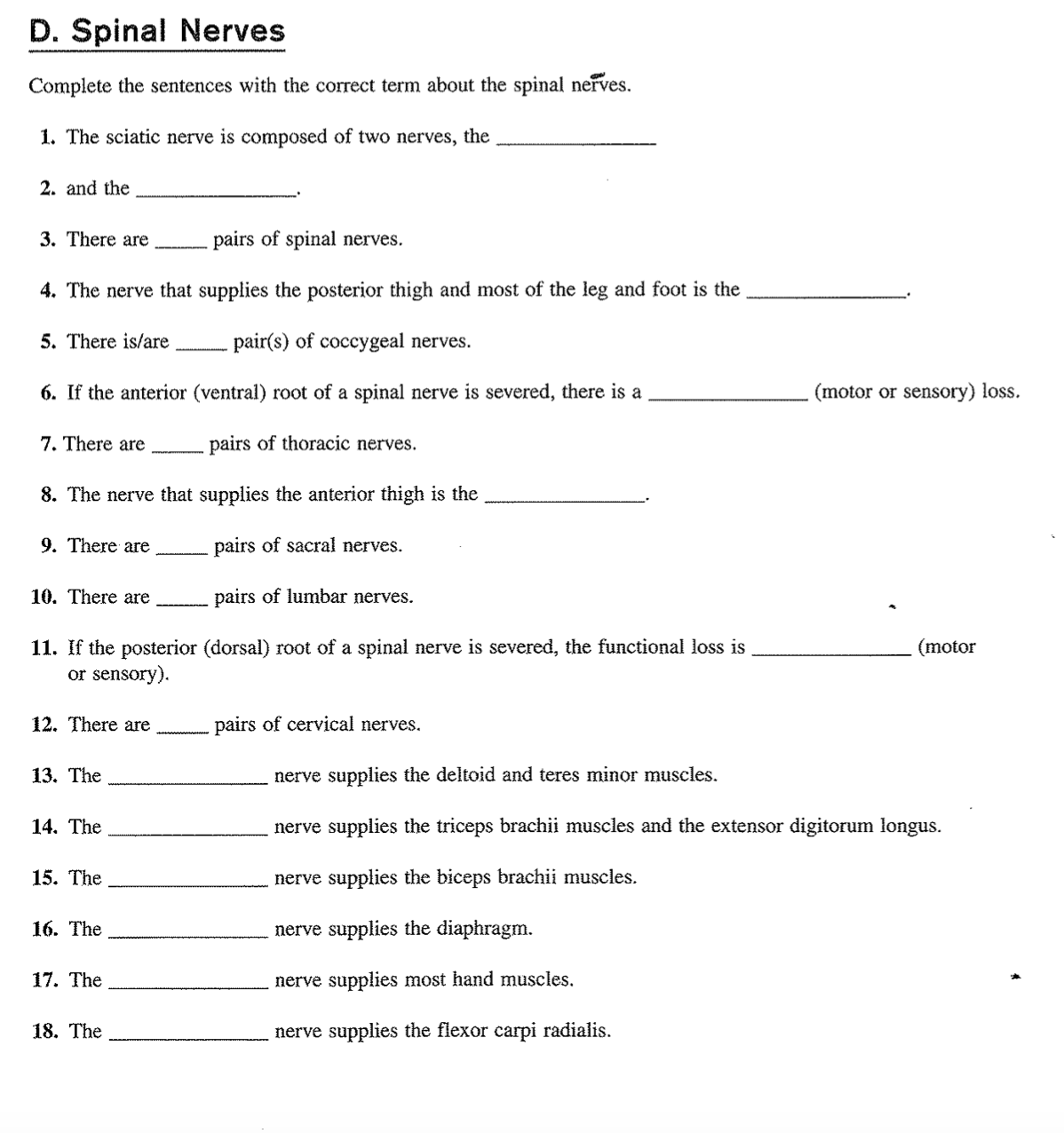 Solved D. Spinal Nerves Complete the sentences with the | Chegg.com