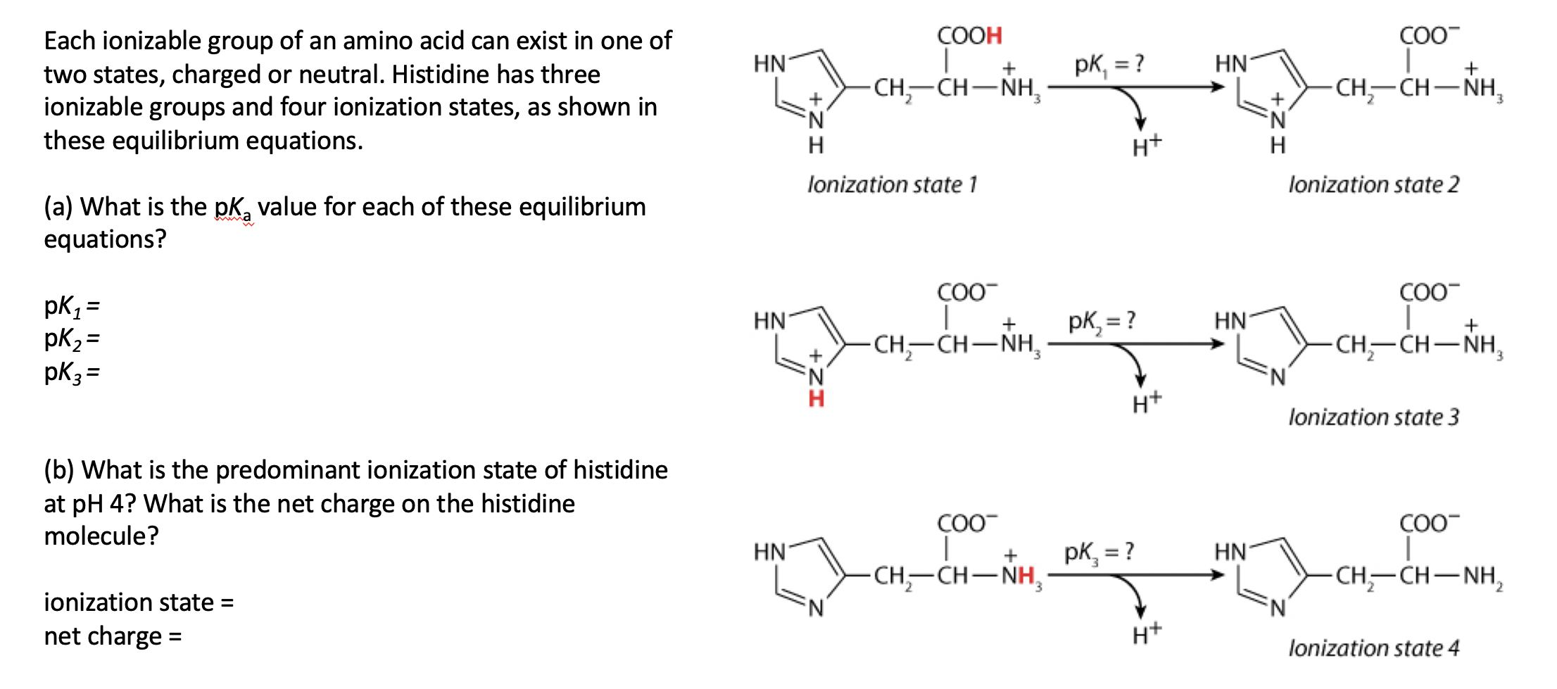 Solved COO- HN pk, = ? Each ionizable group of an amino acid | Chegg.com