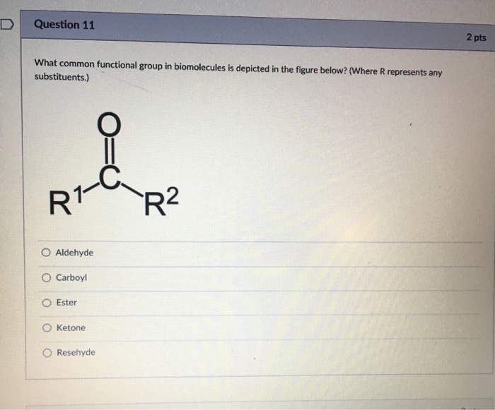 Solved Question 11 What common functional group in | Chegg.com