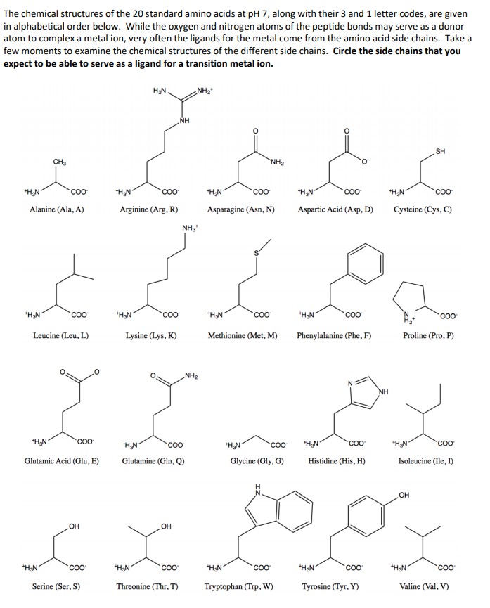 Solved The chemical structures of the 20 standard amino | Chegg.com