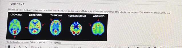 Solved : 100 | Chegg.com