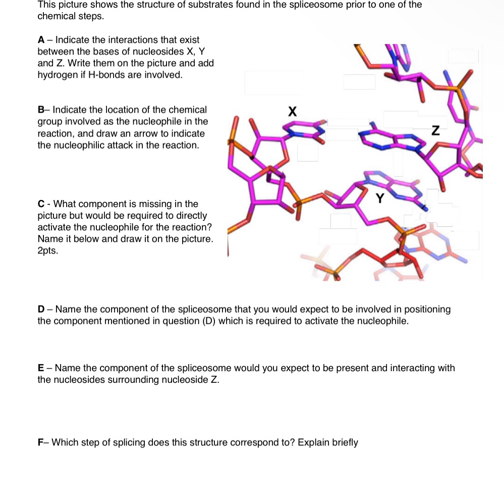 Solved This picture shows the structure of substrates found | Chegg.com