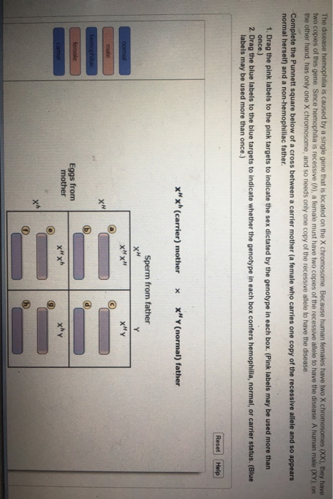 Solved is caused by a single gene that is located on the X | Chegg.com