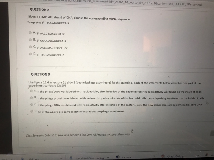 Solved QUESTION 7 Which of the following is TRUE regarding | Chegg.com