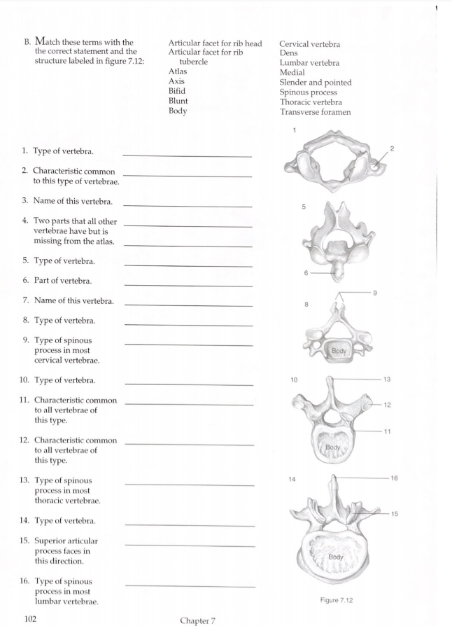 Solved B. Match these terms with the the correct statement | Chegg.com
