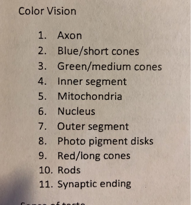 Solved Color Vision 1. Axon 2. Blue/short cones 3. | Chegg.com
