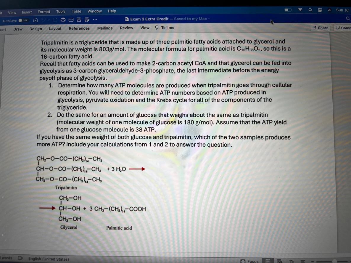 Solved Tripalmitin is a triglyceride that is made up of | Chegg.com