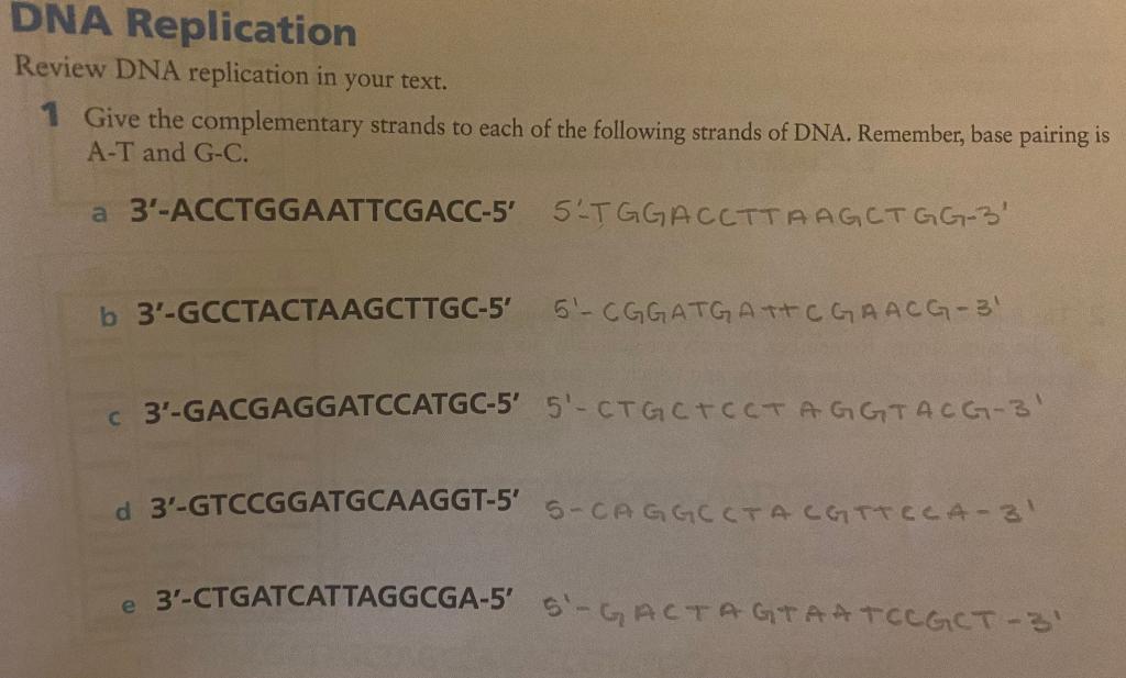 Solved Number 3. Restriction Sites. Review recombinant DNA | Chegg.com