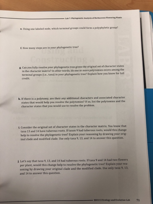 Solved PROBLEM SET 2 Name: Instructor: Date: Section 1. | Chegg.com