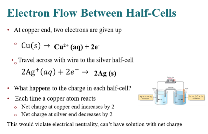 Solved Electron Flow Between Half-Cells At copper end, two | Chegg.com