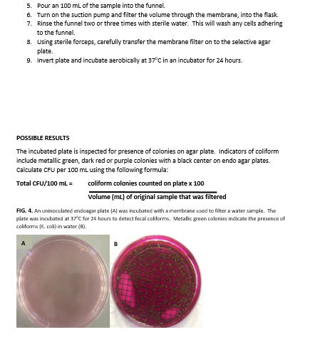 Solved Direct Cell Count by Membrane Filter Technique | Chegg.com