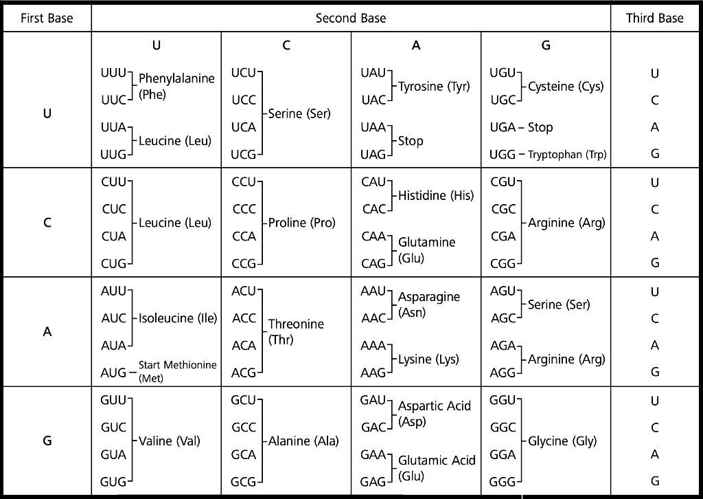 Solved 1. Record the gene sequence (downstream from the TATA | Chegg.com