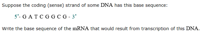 Solved Suppose the coding (sense) ﻿strand of some DNA has | Chegg.com