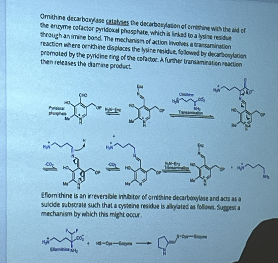 Solved DRAW A COMPLETE MECHANISM for the chemical reaction | Chegg.com
