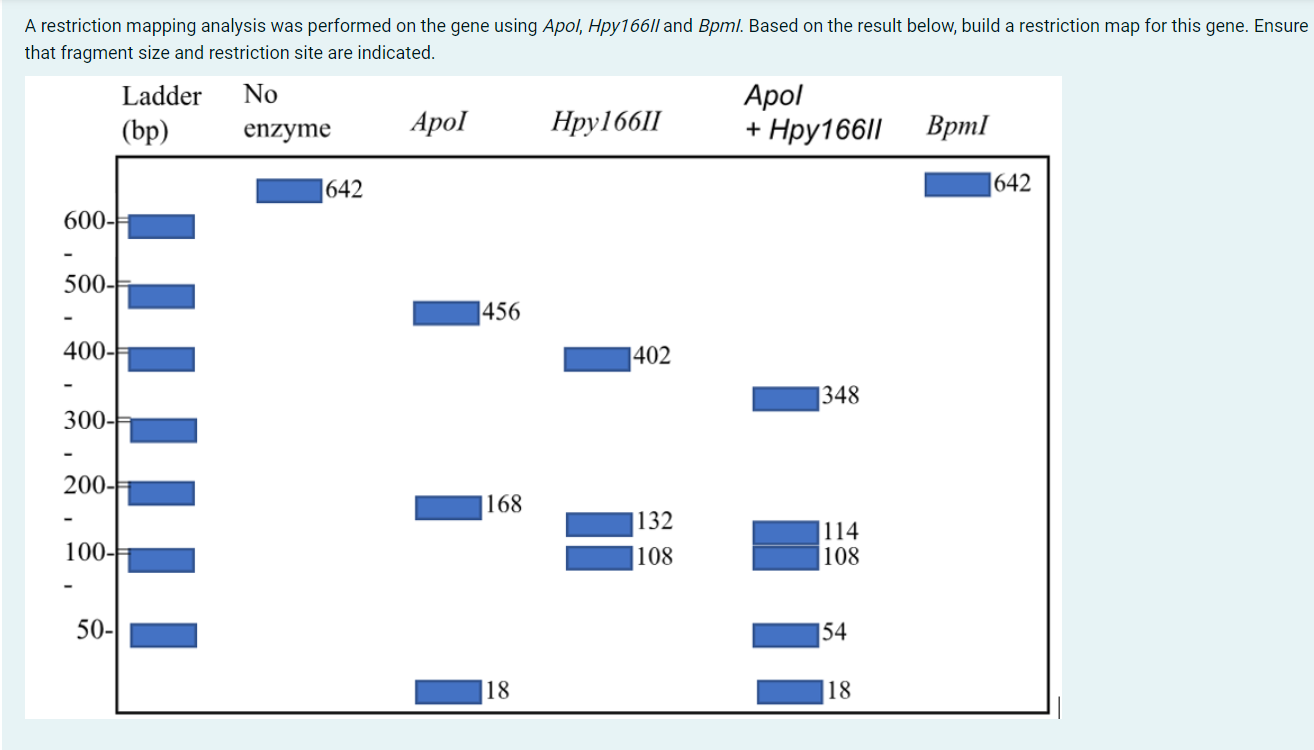 Solved restriction mapping analysis was performed on the | Chegg.com